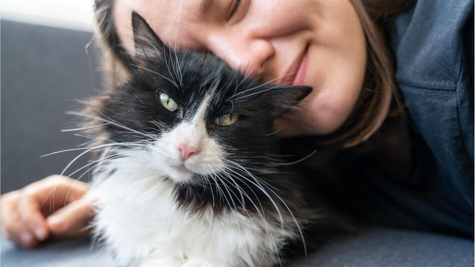 Diese simple Geste erkennt Ihre Katze als eine Art Liebeserklärung ...