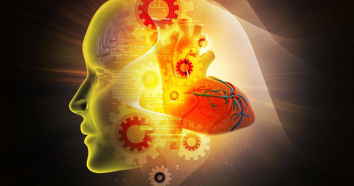 Wie das Herz das Gehirn manipuliert | GMX