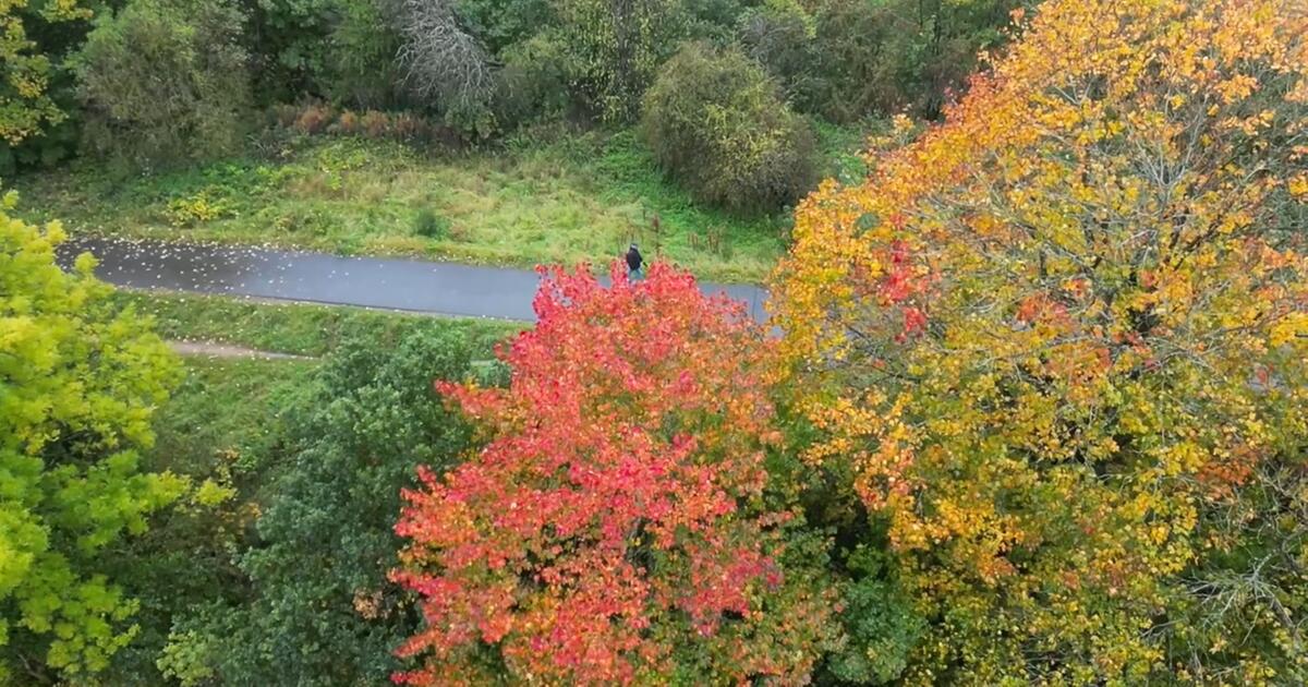 Wetterdienst: Herbst 2023 zweitwärmster seit Messbeginn | GMX Wetterdienst: Herbst 2023 zweitwärmster seit Messbeginn | GMX