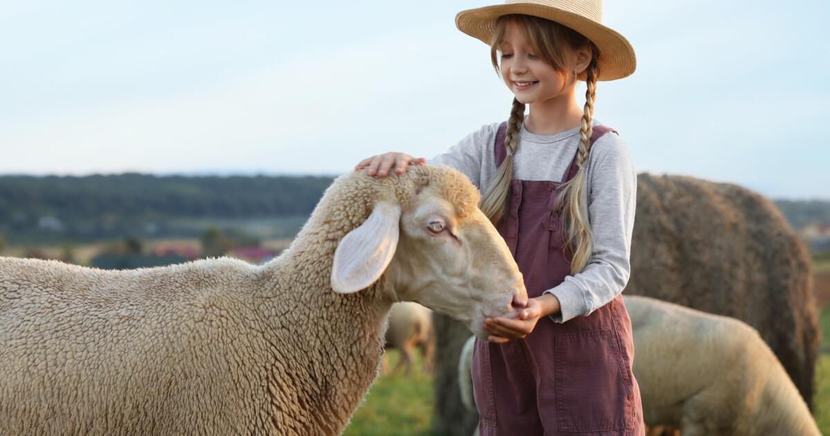 Die Zukunft der Mensch-Tier-Beziehung | GMX
