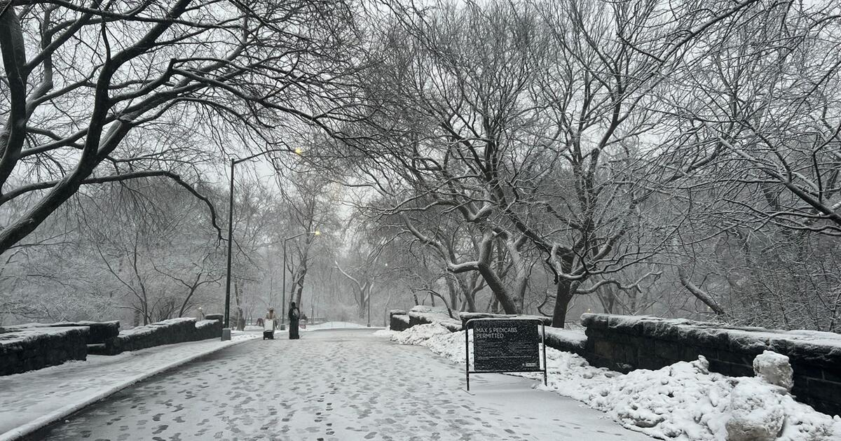 Blizzard-Alarm im Nordosten der USA – drastische Maßnahmen in New York ...