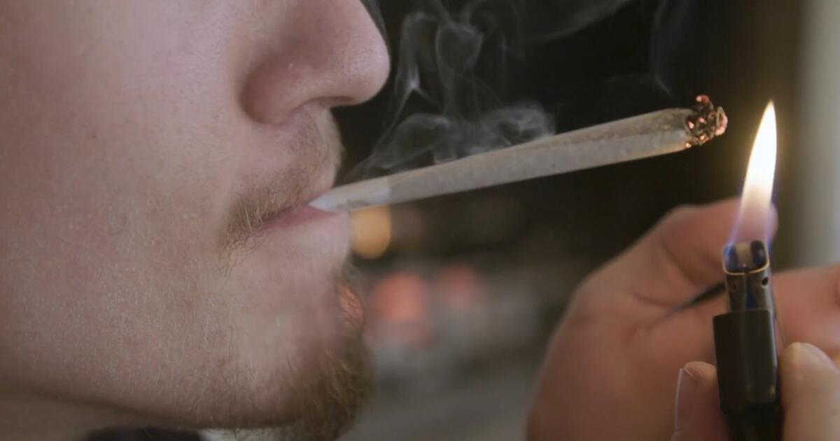 Cannabis-Pläne: Richterbund bekräftigt Kritik | GMX Cannabis-Pläne: Richterbund bekräftigt Kritik | GMX
