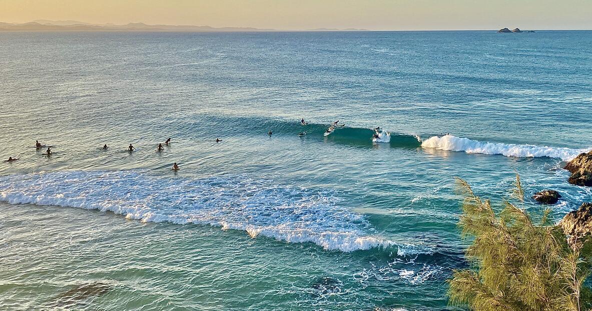 Surfen mit Python: Australier muss Strafe zahlen | GMX