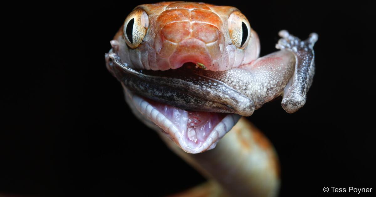 So vielseitig ist Down Under | GMX