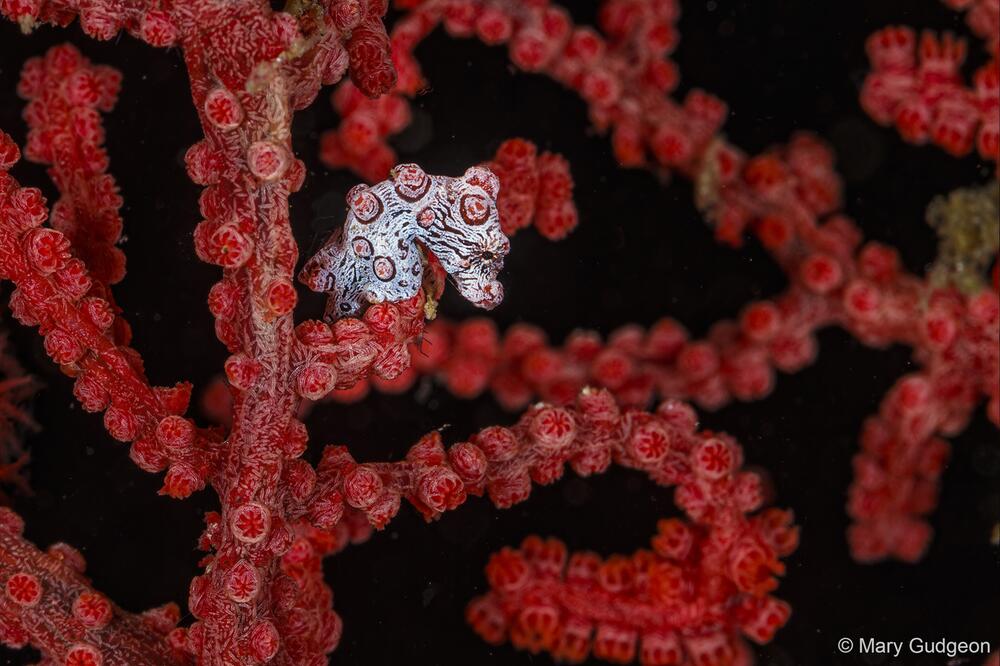 So vielseitig ist Down Under | GMX