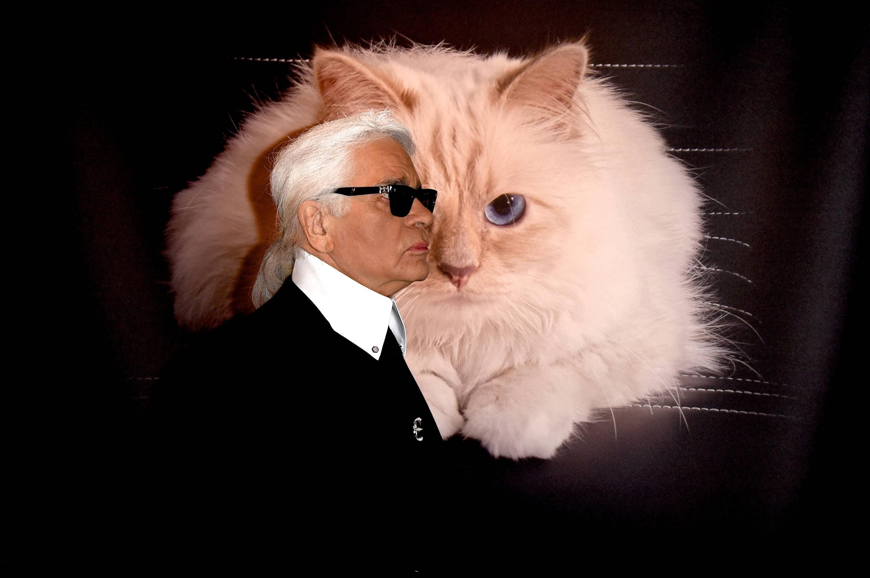 Karl Lagerfelds Katze wartet noch immer auf ihr Millionen-Erbe | GMX